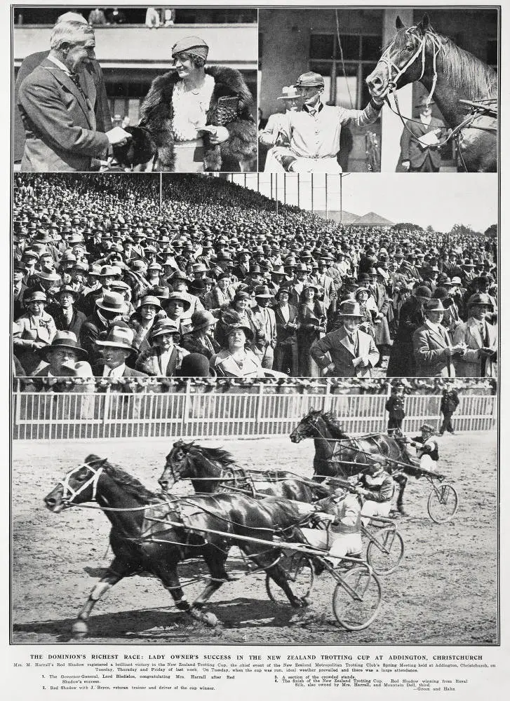 The Dominion's richest race: lady owner's success in the New Zealand ...