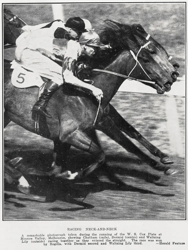 Racing neck-and-neck | Record | DigitalNZ