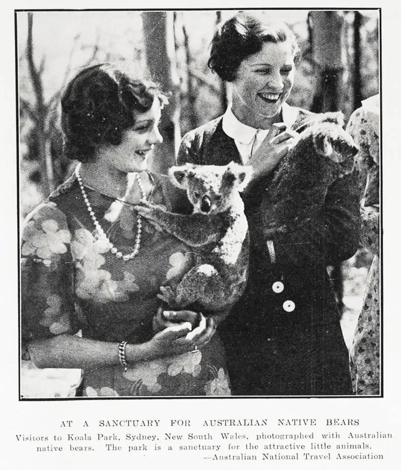 At a sanctuary for Australian native bears | Record | DigitalNZ