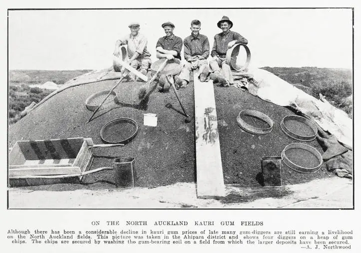 On the North Auckland kauri gum fields | Record | DigitalNZ