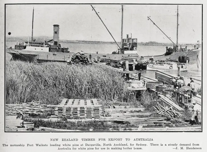 A New Zealand timber for export to Australia | Record | DigitalNZ