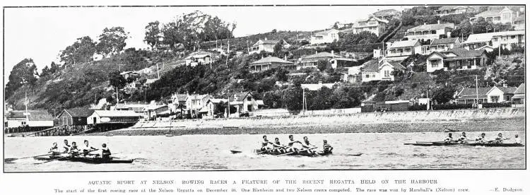 Aquatic sport at Nelson: rowing races a feature of the recent regatta ...