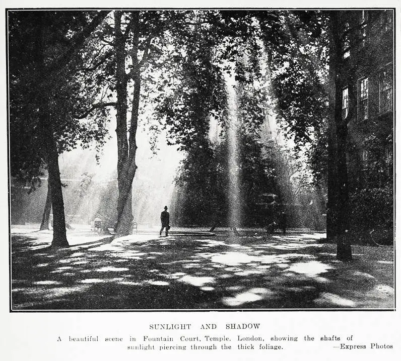 Sunlight and shadow | Record | DigitalNZ