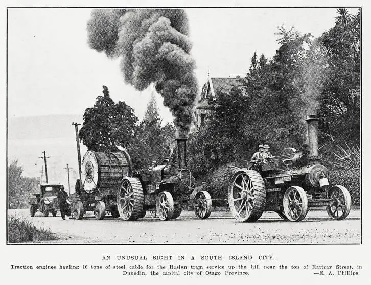 An unusual sight in a South Island city | Record | DigitalNZ