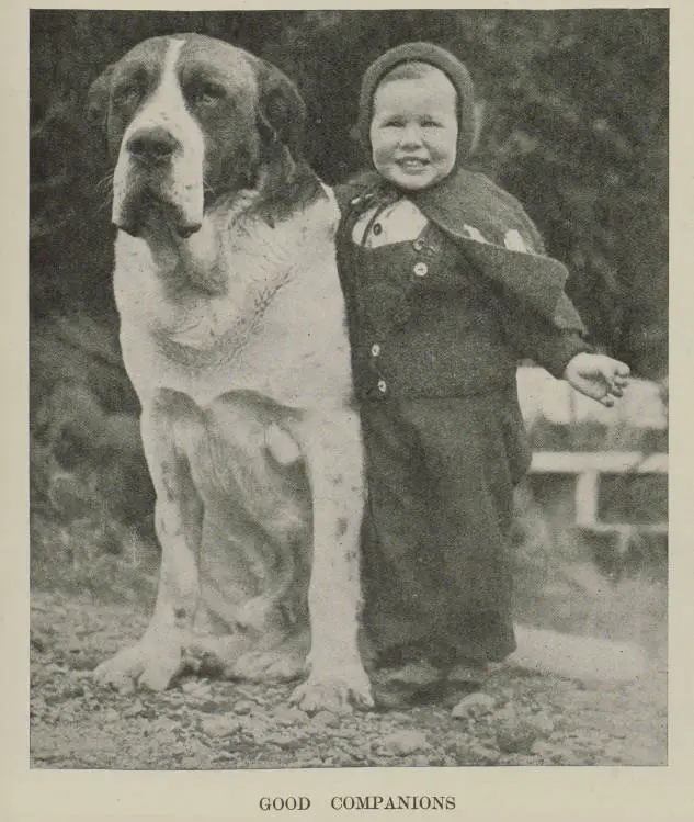 Good companions | Record | DigitalNZ