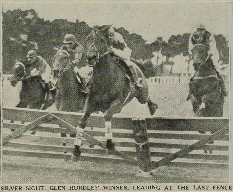 Silver Sight, Glen hurdles' winner, leading at the last fence | Record ...
