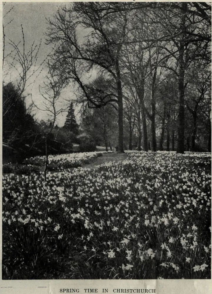 Spring time in Christchurch | Record | DigitalNZ