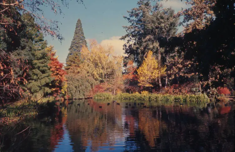 Lake in the Ashburton Domain | Record | DigitalNZ