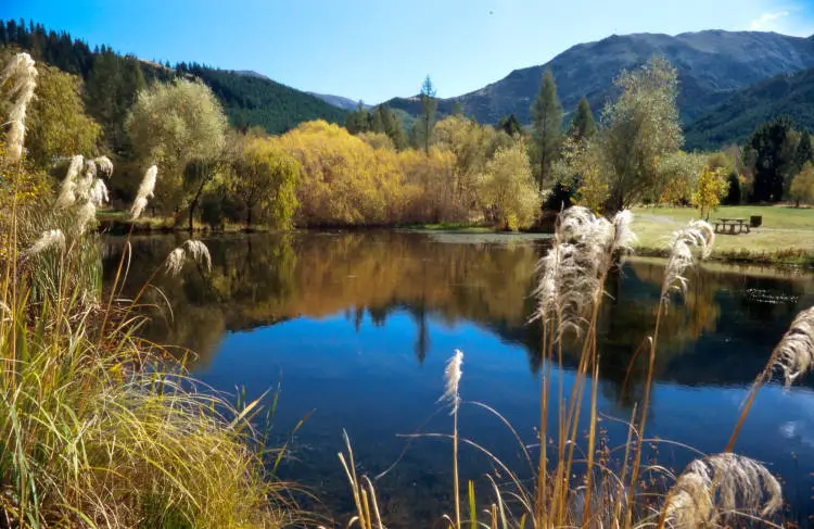 Squirrel Lake near Hanmer Springs, 1983 | Record | DigitalNZ