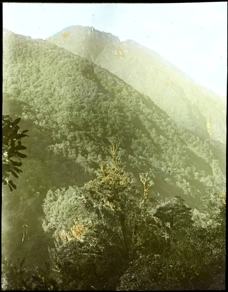 Hill scenery | Record | DigitalNZ