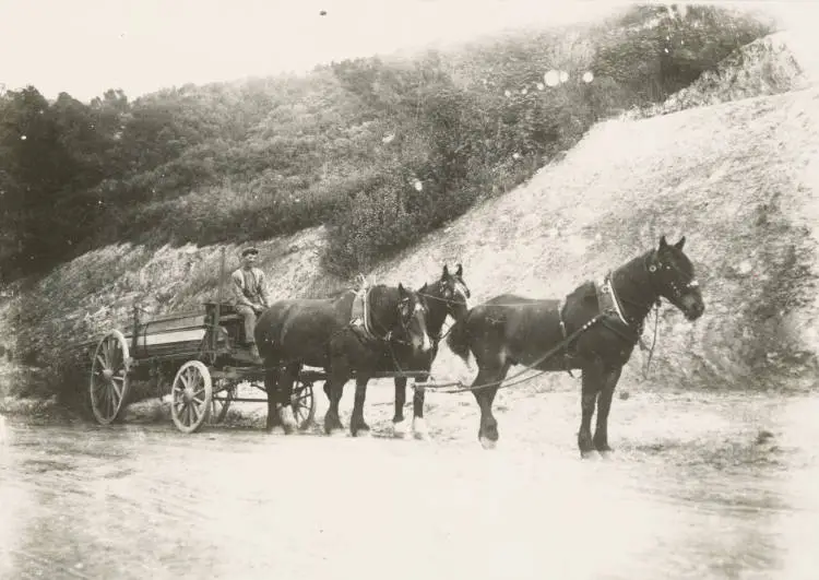 Driver with horse-drawn dray, Birkenhead. | Record | DigitalNZ