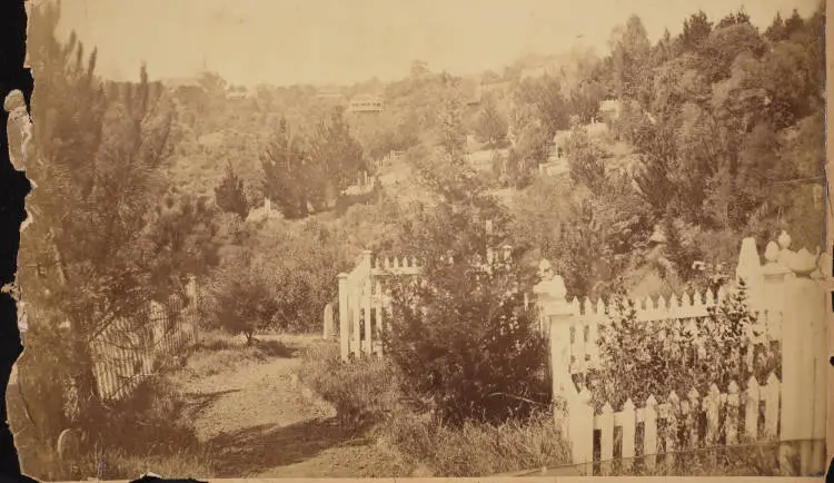 Symonds Street Cemetery | Record | DigitalNZ