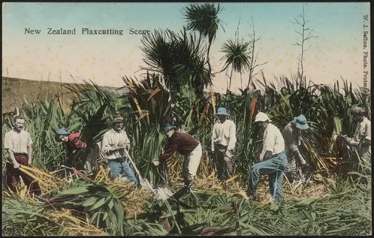 Workers cutting flax, Kawakawa, 1905 | Record | DigitalNZ