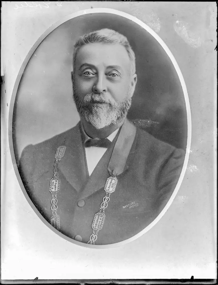 Mr David Goldie | Record | DigitalNZ