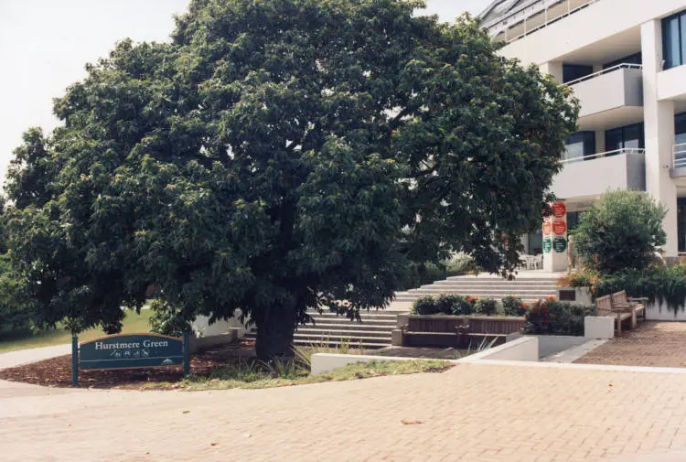 Hurstmere Green. | Record | DigitalNZ