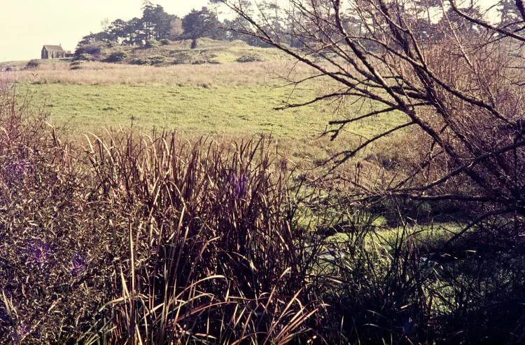 Spring, East Tāmaki, 1979 | Record | DigitalNZ