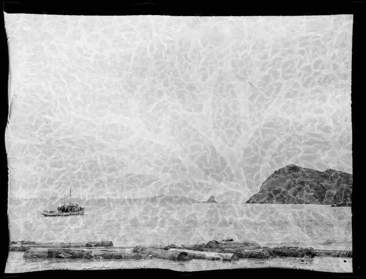 Timber Raft, Sandy Bay, Port Charles | Record | DigitalNZ