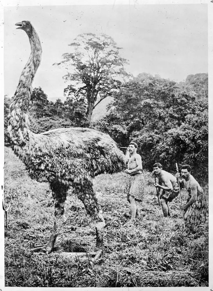 Mock moa hunt, Dunedin Botanical Gardens, 1899 | Record | DigitalNZ