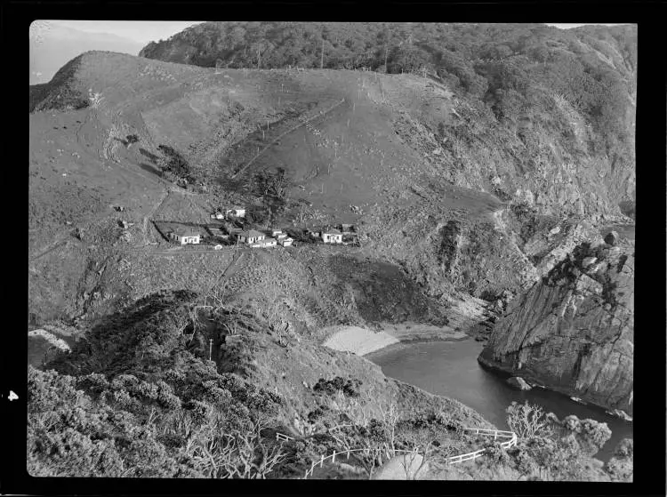 Cuvier Island Lighthouse Settlement, 1950 | Record | DigitalNZ