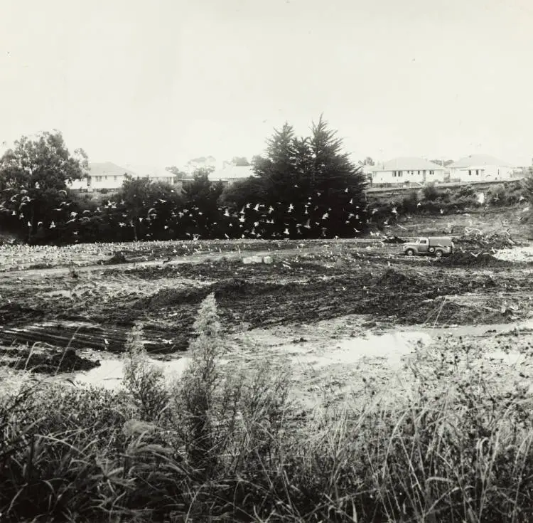 Troublesome tip, Otara, 1966 | Record | DigitalNZ