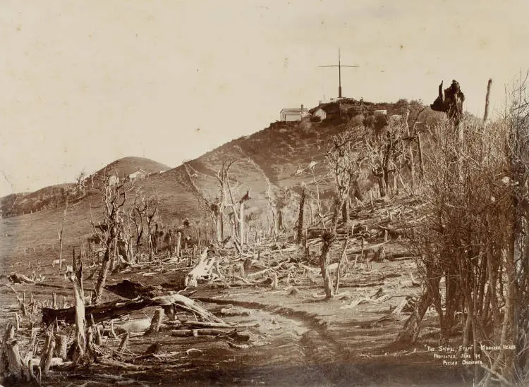 The signal staff, Manukau Heads, 1894 | Record | DigitalNZ