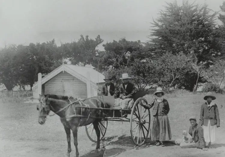 Horse and gig, Māngere, ca 1905 | Record | DigitalNZ