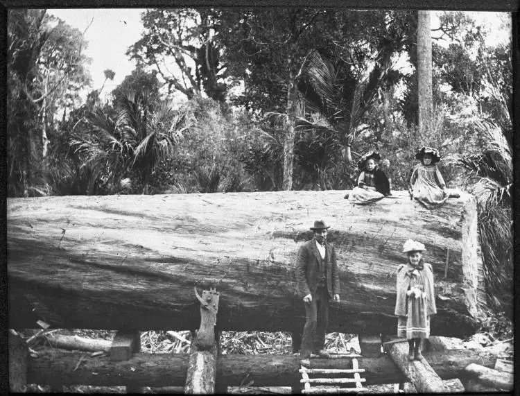 Mr. Mander and children and large kauri log. | Record | DigitalNZ