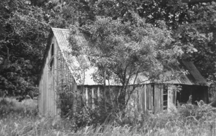 Old fruit packing shed. | Record | DigitalNZ