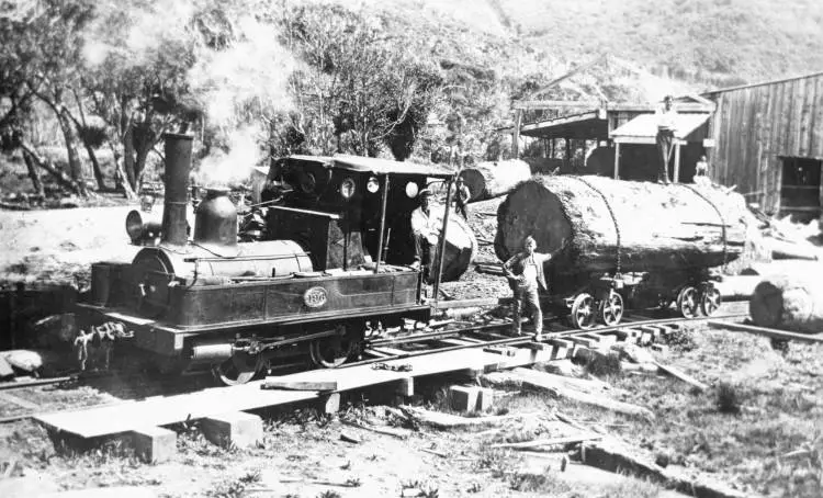 Piha Tramway engine and log on bogie. | Record | DigitalNZ