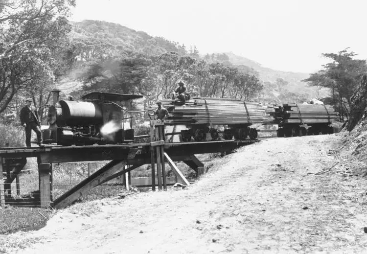 Engine and trucks of timber on tramway at Karekare. | Record | DigitalNZ