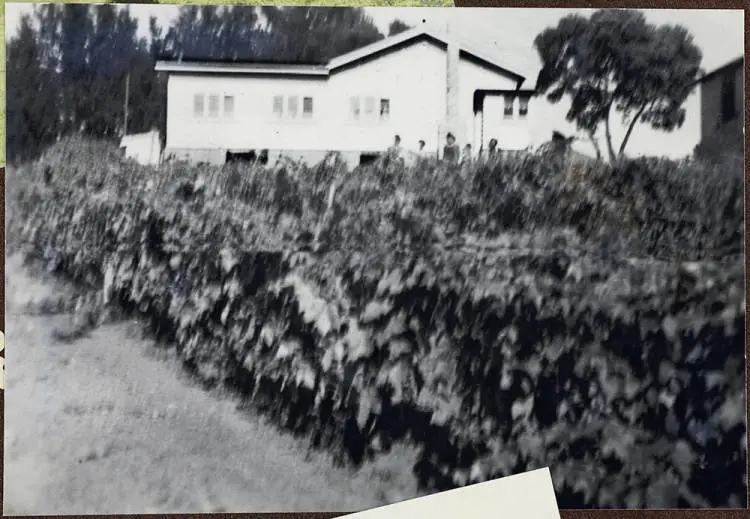 Sumich family. | Record | DigitalNZ