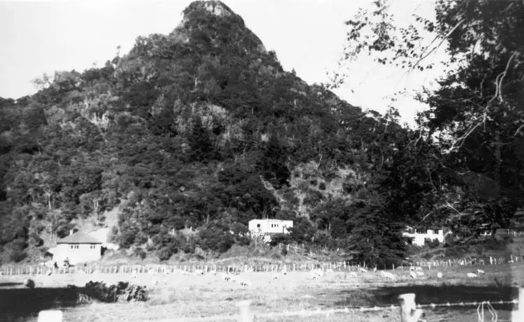 Jackie's Peak, Little Huia. | Record | DigitalNZ