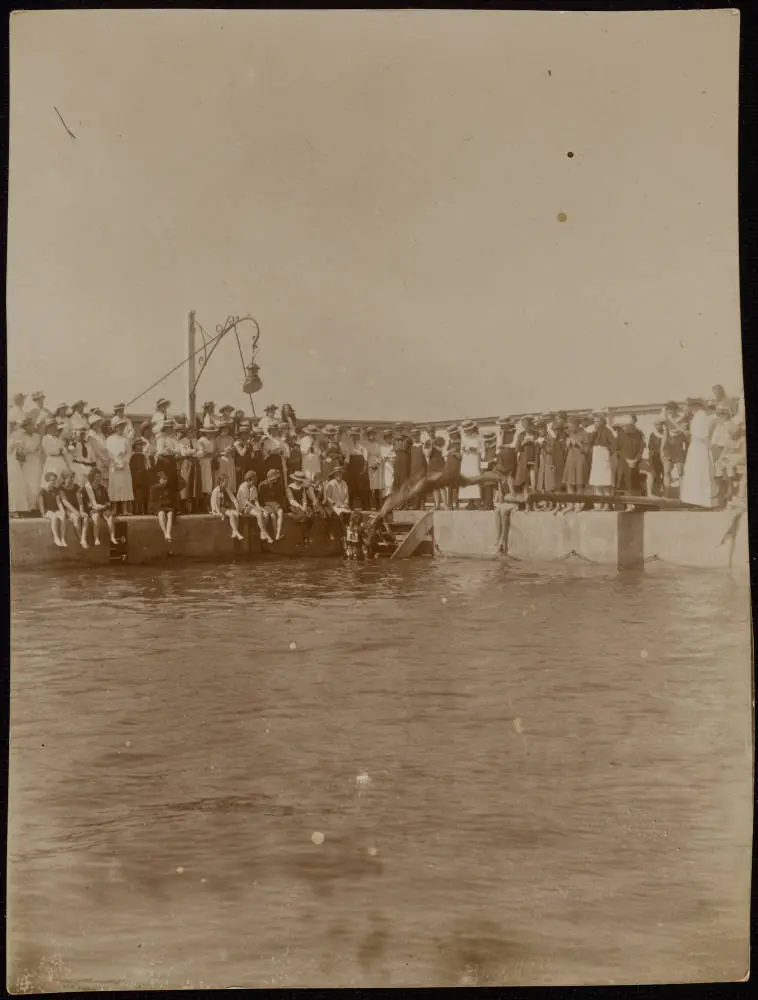 School swimming gala at Point Erin Baths | Record | DigitalNZ