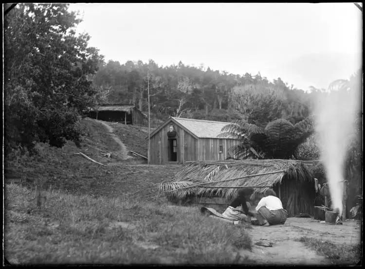 Purakau | Record | DigitalNZ