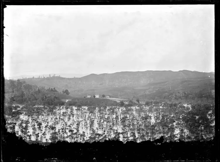 Harrison Homestead, c1912 | Record | DigitalNZ