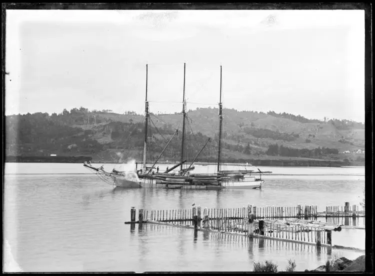 Scow Hawk | Record | DigitalNZ