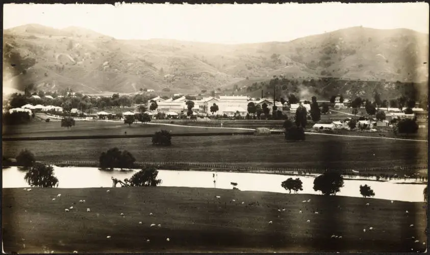 Nelson Brothers freezing works, Taruheru, Gisborne | Record | DigitalNZ