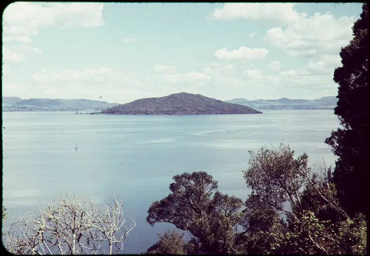 Mokoia Island, Lake Rotorua, 1962 | Record | DigitalNZ