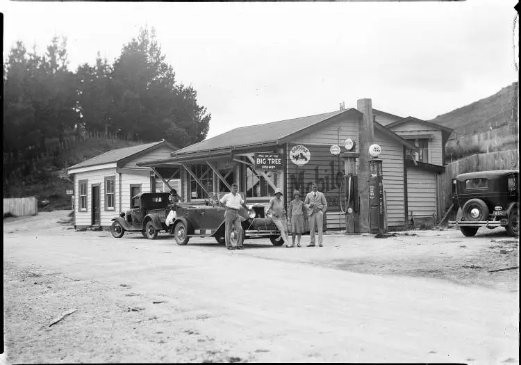 Big Tree Garage and Post Office, Rotoiti Forest | Record | DigitalNZ