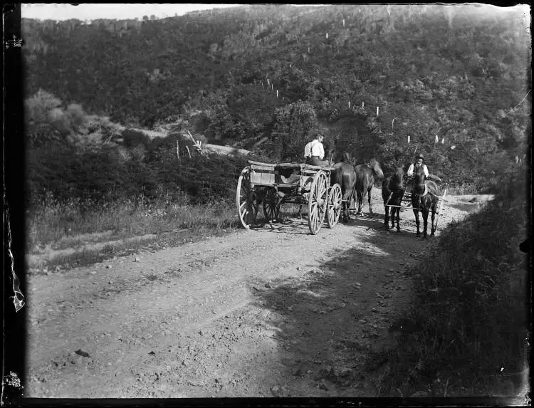 Trap and wagon passing on a country road | Record | DigitalNZ