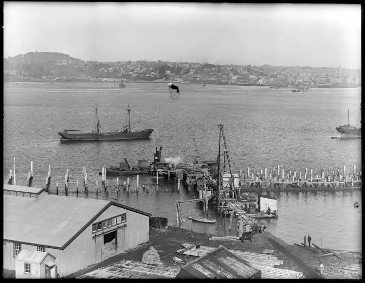 Calliope Dock and the Waitematā Harbour, 1907 | Record | DigitalNZ