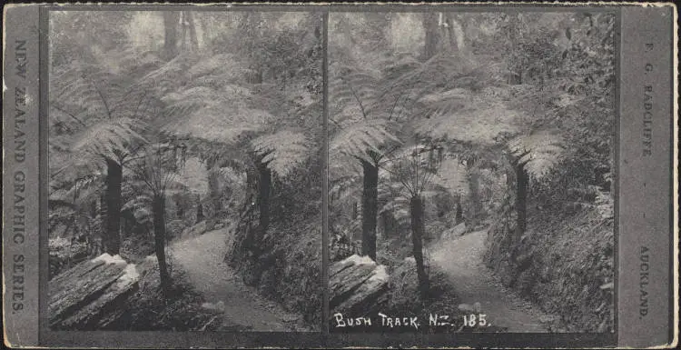 Bush Track N.Z. | Record | DigitalNZ