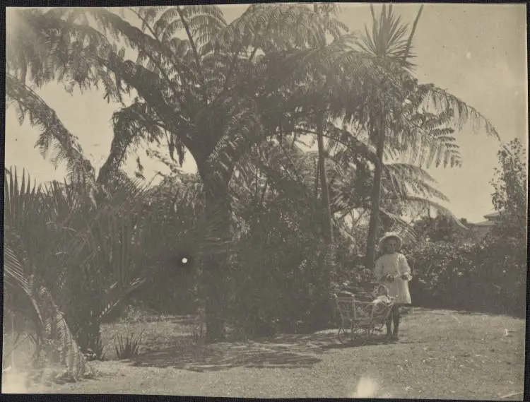 Frith garden at Grange Road, Mount Eden | Record | DigitalNZ