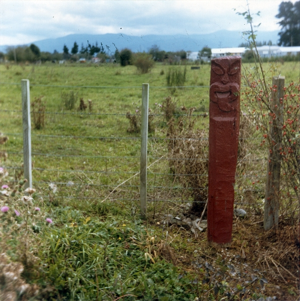 Papawai whakapakoko: Photograph | Record | DigitalNZ