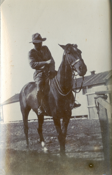 Mounted rifleman on a horse : digital image | Record | DigitalNZ