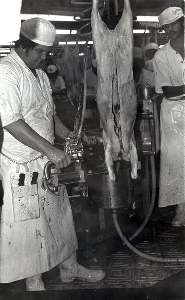 Waingawa Freezing Works: Photograph | Record | DigitalNZ