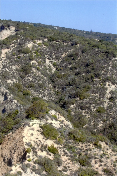 Razorback, Plugge's Plateau, Gallipoli : digital image | Record | DigitalNZ