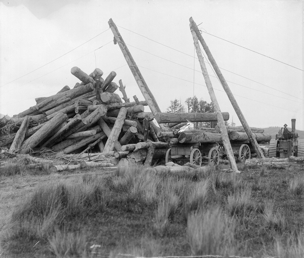 Wagons being loaded with logs behind Edward Jones' traction engine ...
