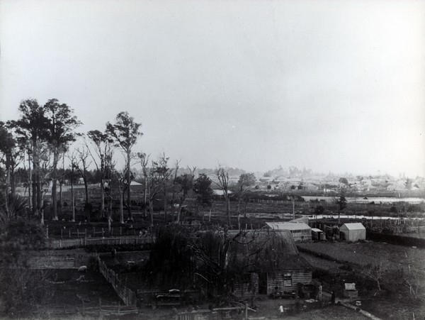 Masterton and Waipoua River from bluff above Oxford Street : Photograph | Record | DigitalNZ