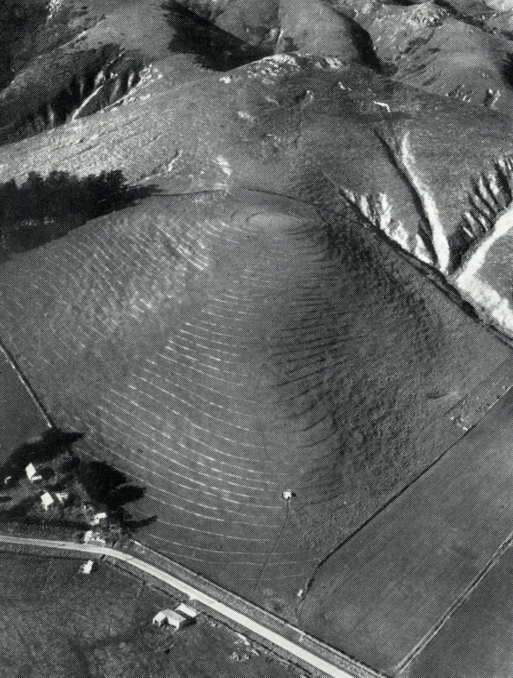 1950 Aerial view of pasture-furrowed hillside | Record | DigitalNZ